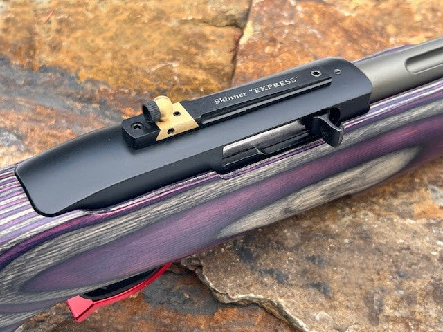 Ruger 10/22 Express Sight
