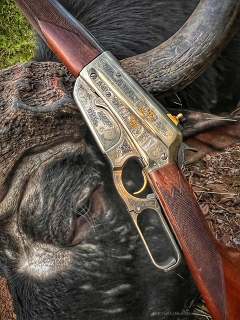 Winchester /Browning 1895 EXPRESS Sight